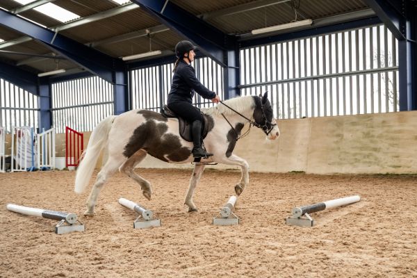 News | Marwood Equestrian